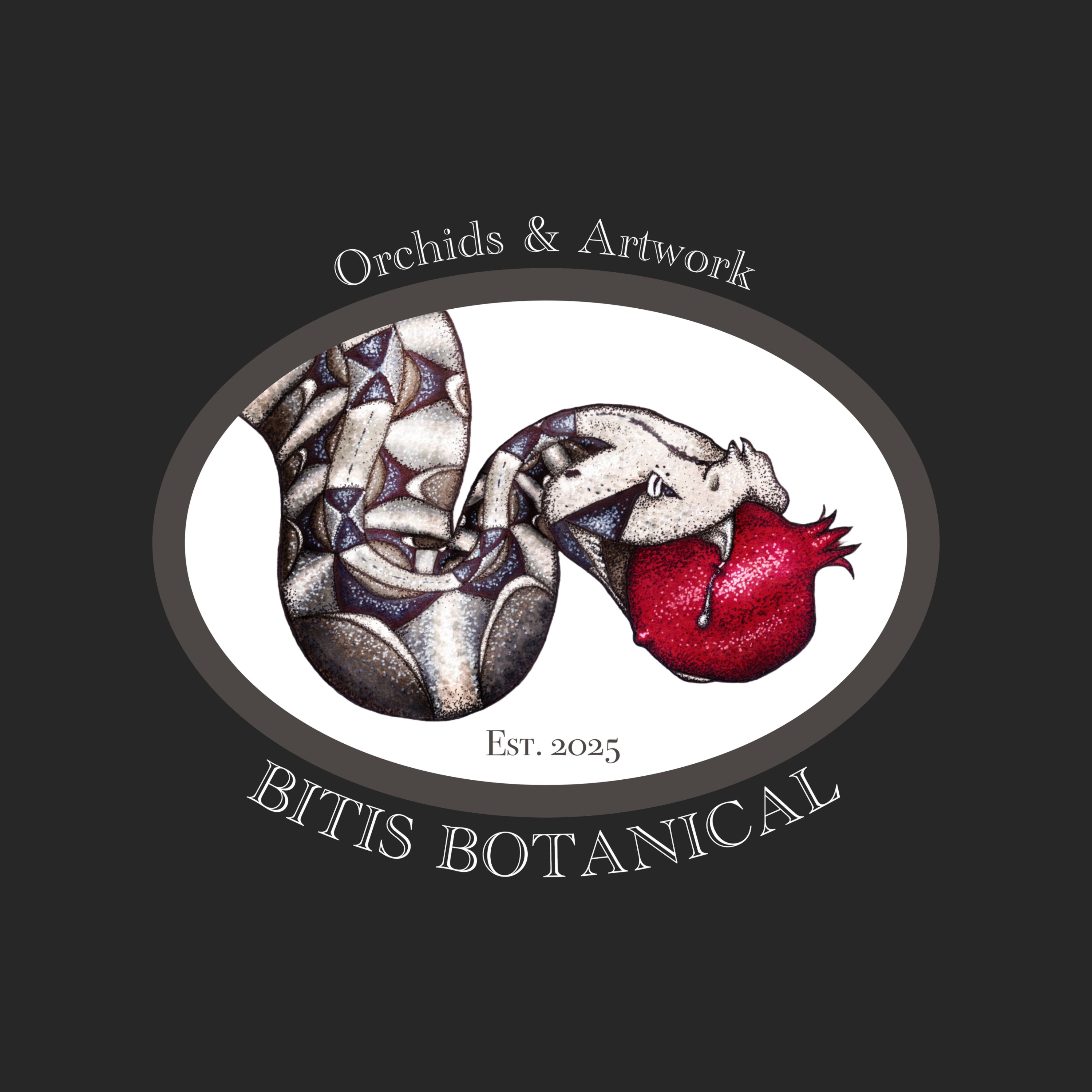 Orchid Culture – Bitis Botanical